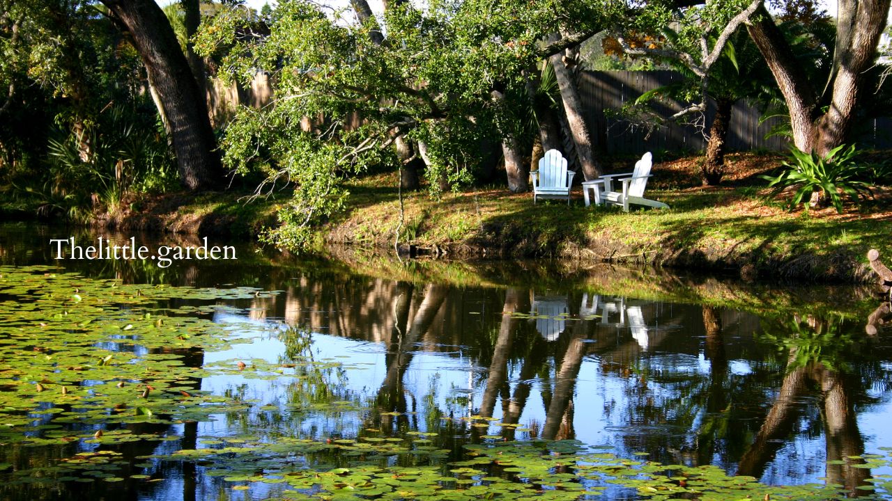 Florida Water Plants: Enhancing Your Garden and Protecting the Environment