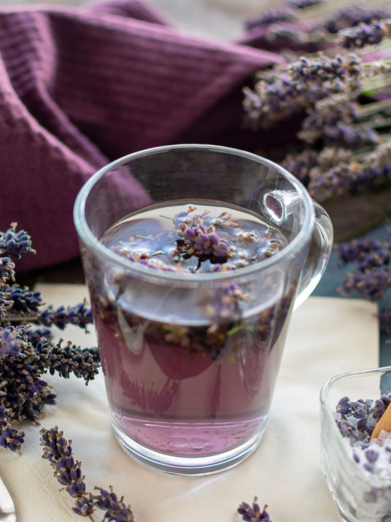 How to Plant Munstead Lavender: Everything You Should Know - The Little ...